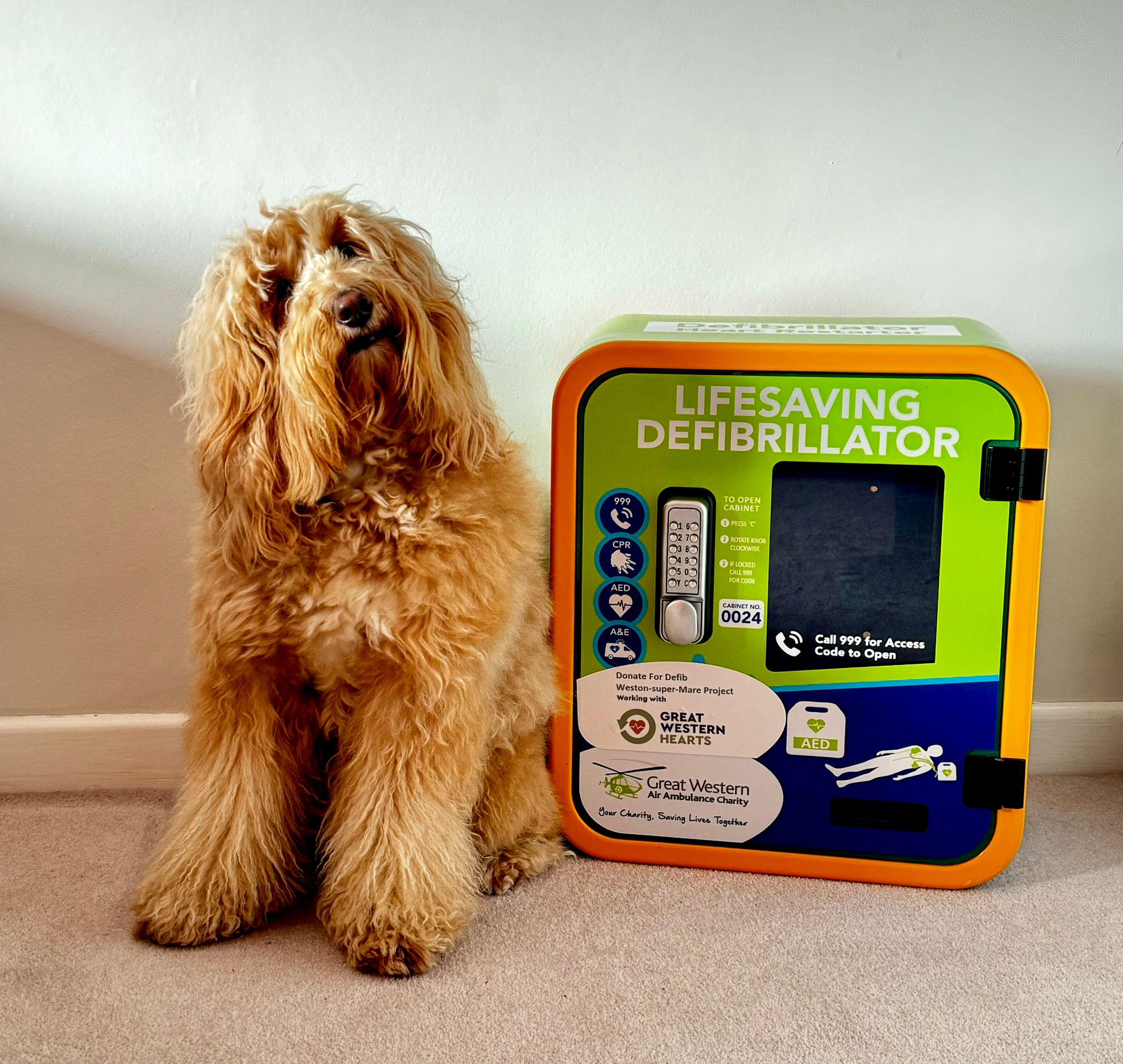 Maya's Birthday Wishes - Donate for defib weston-super-Mare