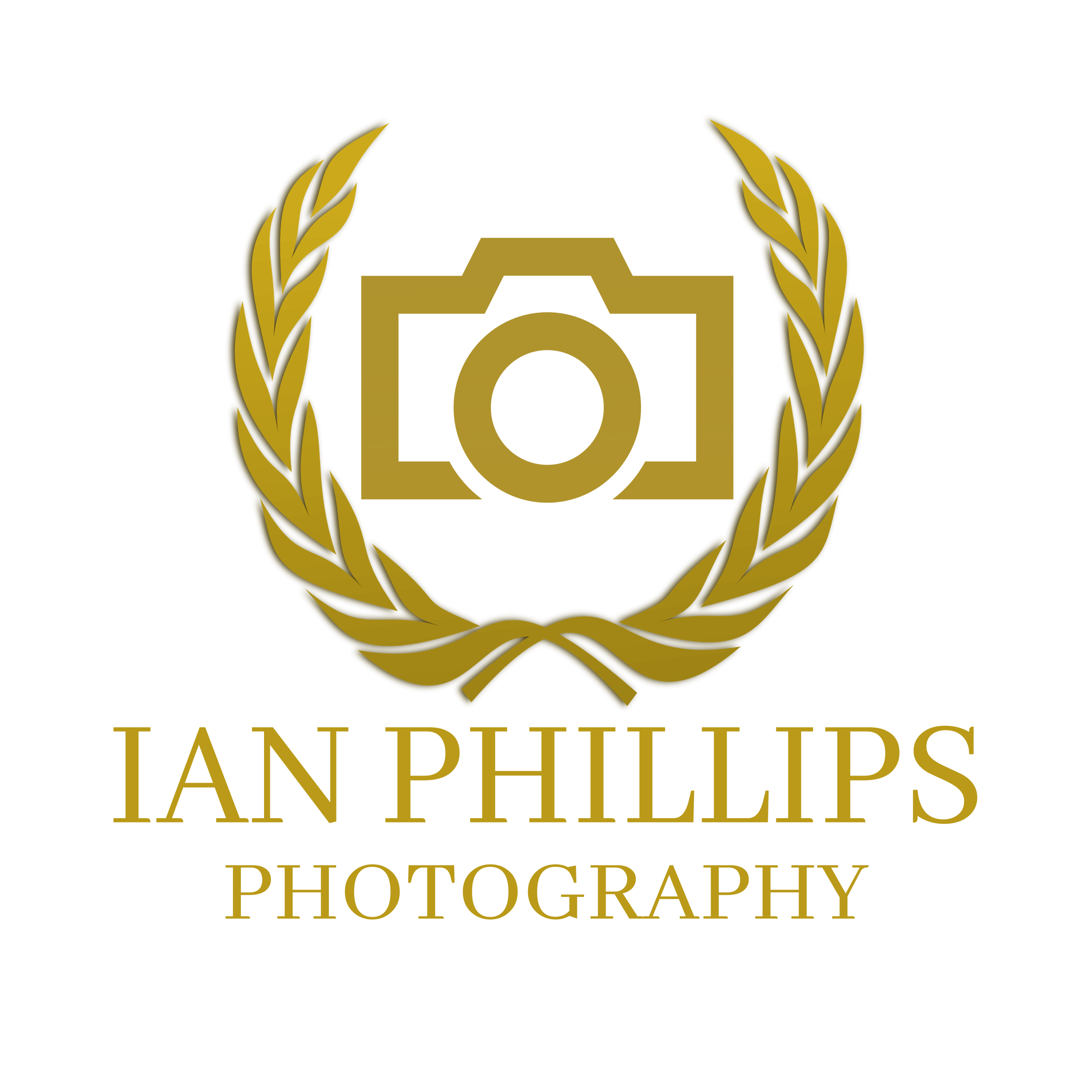 Ian Phillips Photography - Donate for defib weston-super-Mare